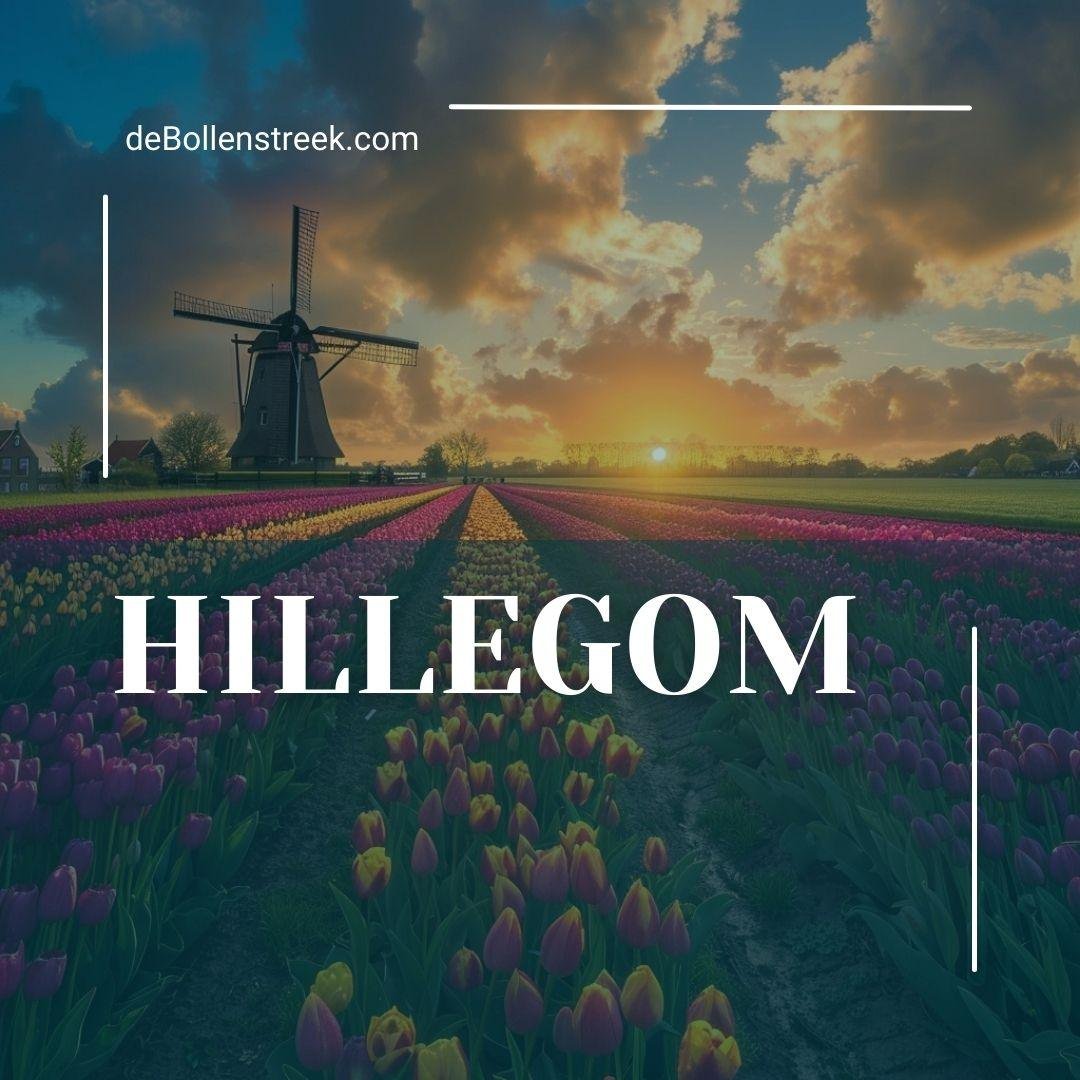 Hillegom: A Local's Insight into the Tapestry of Tulips - de Bollenstreek