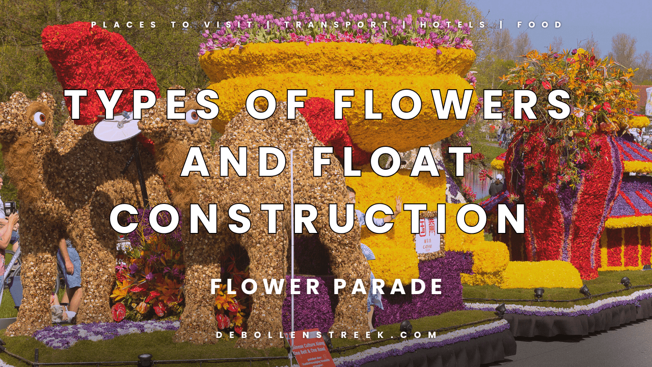 Types of Flowers and Float Construction Flower Parade 2025 - de ...